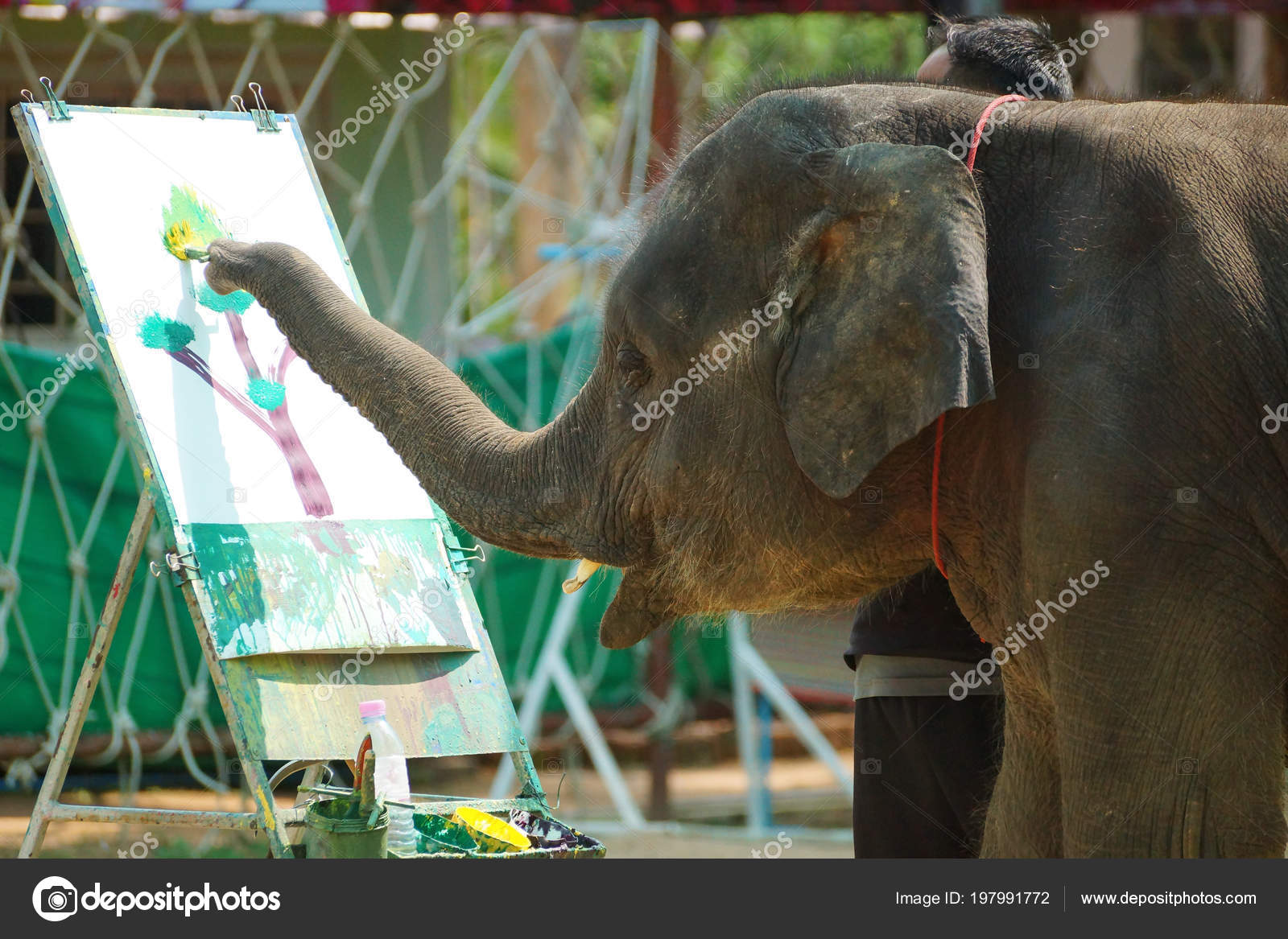 Young Elephant Drawing Picture Tree Color Paint — Stock Photo ...