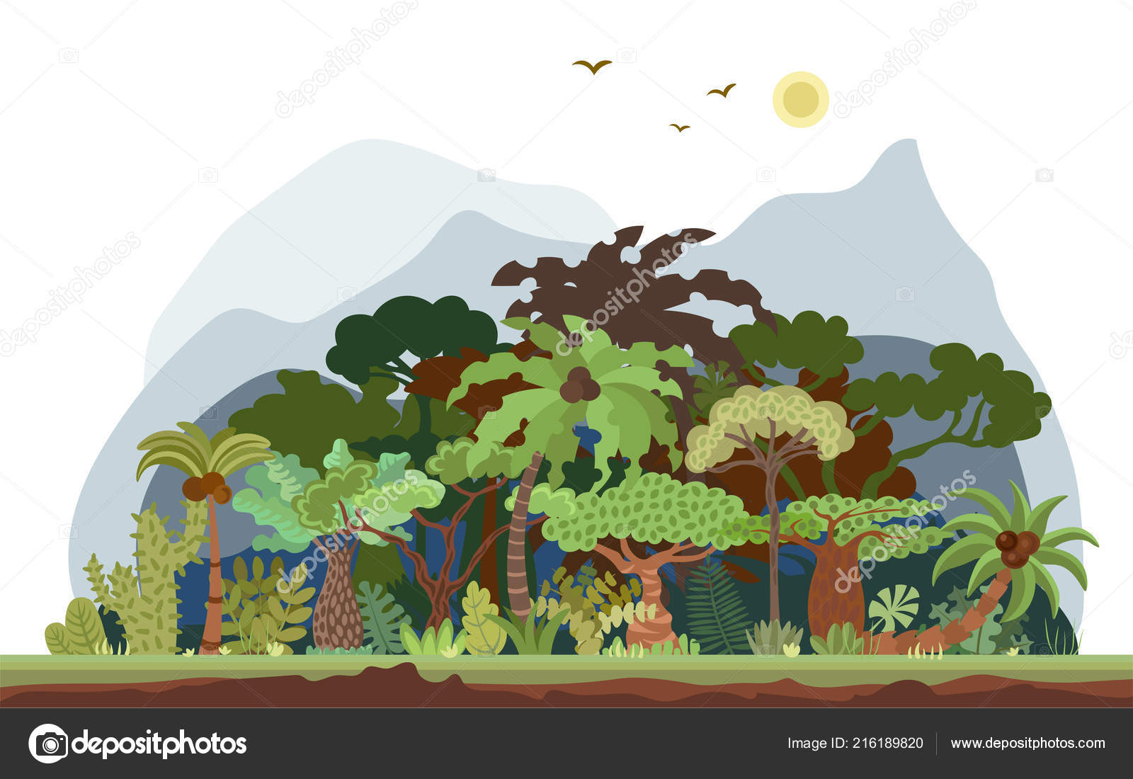 Regenwoud Planten En Bomen Tekenen