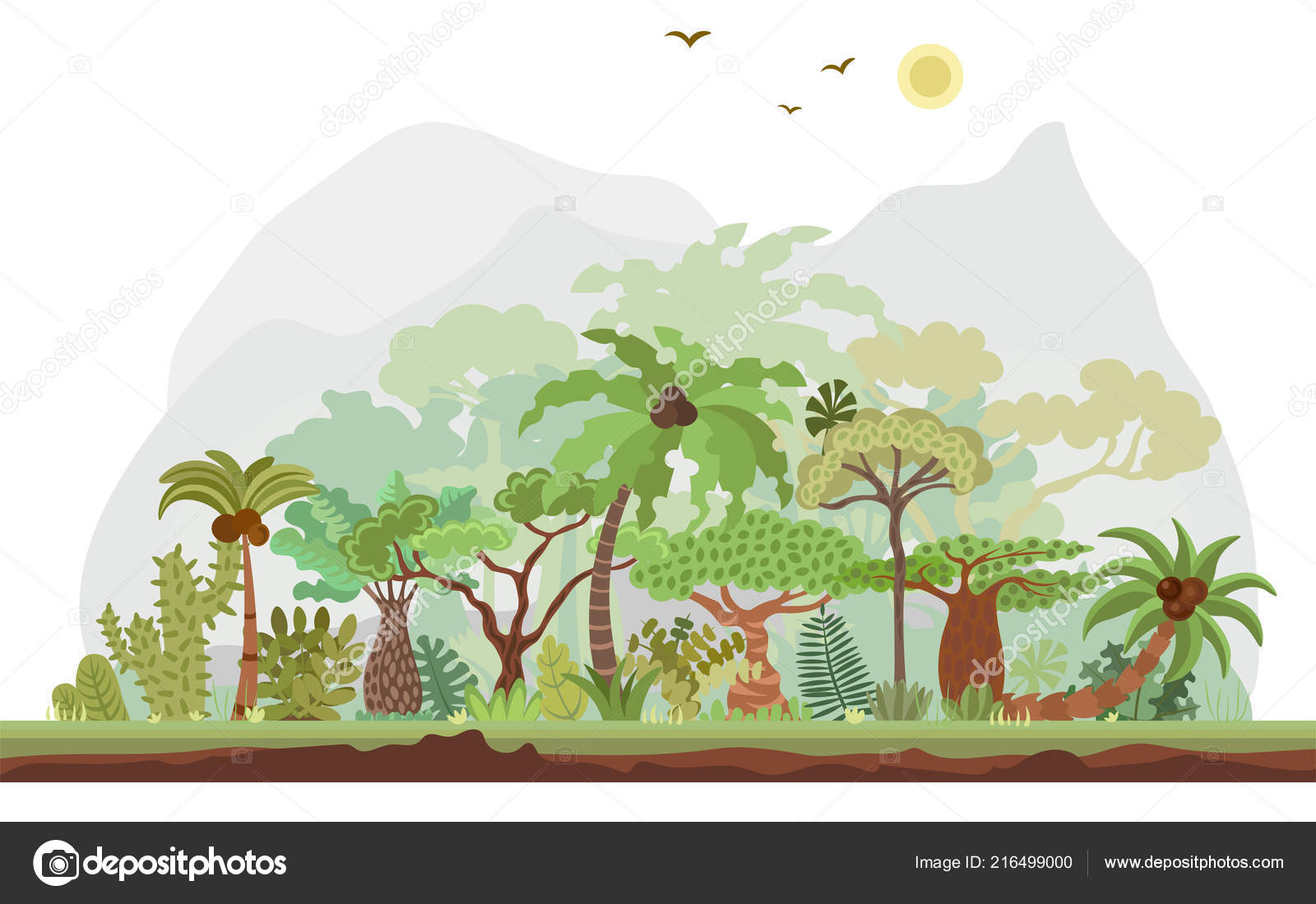 Tropical Forest Vector