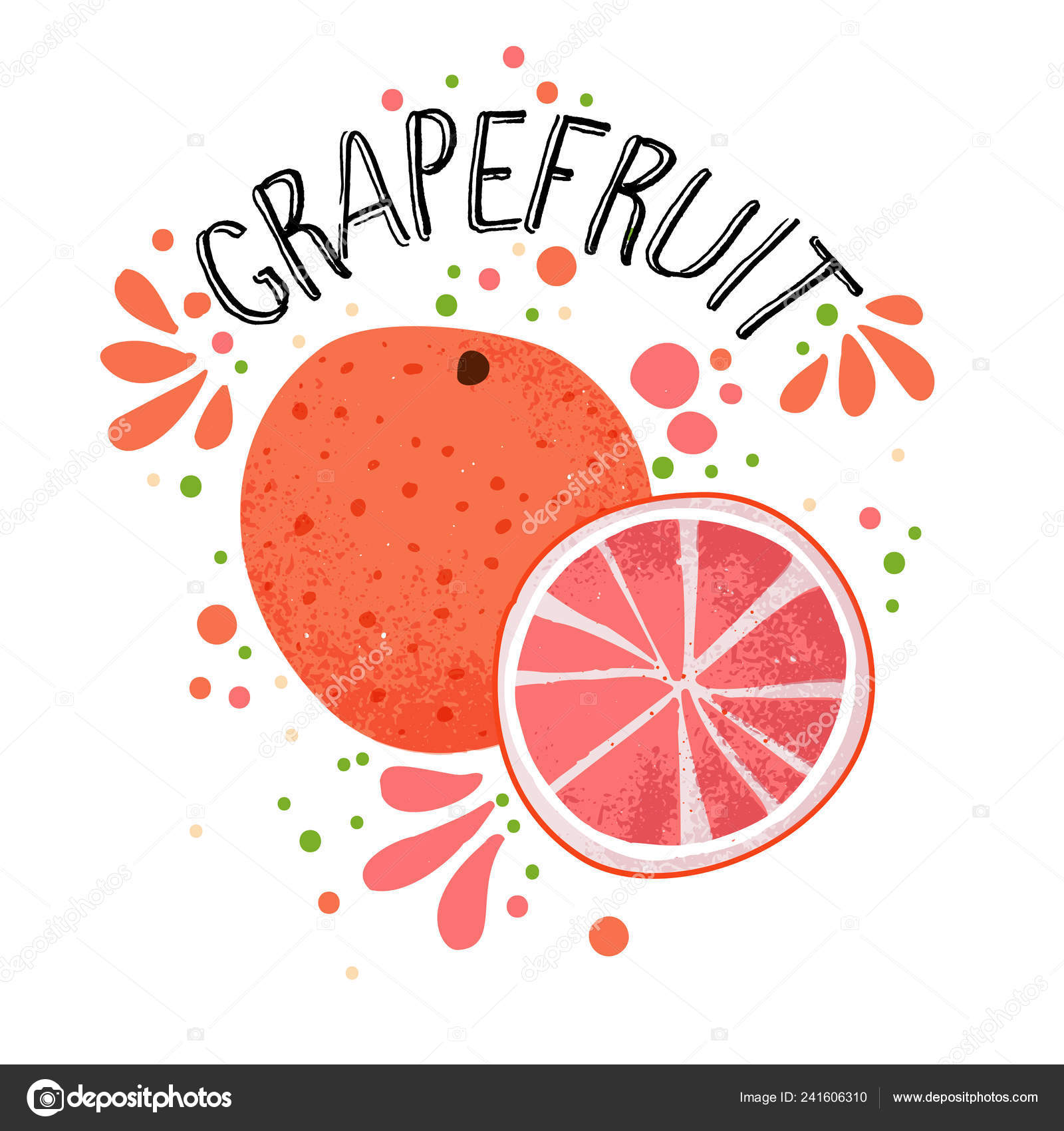 Vector hand draw grapefruit illustration. Half and slice of grapefruits ...