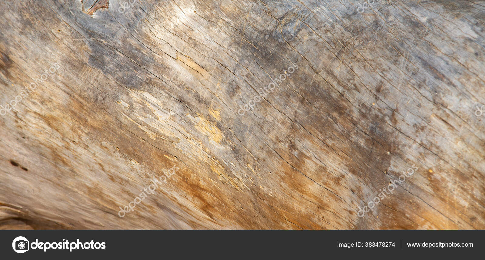 The texture of a tree trunk without bark. The background. Stock Photo ...