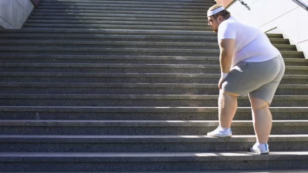 Fat Person Falling Down Stairs