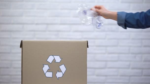 Person throwing plastic bottles into trash bin, sorting non-degradable ...