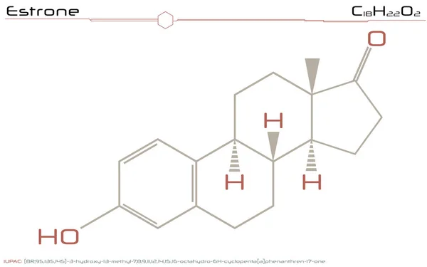 40 Estrone Vector Images, Estrone Illustrations | Depositphotos