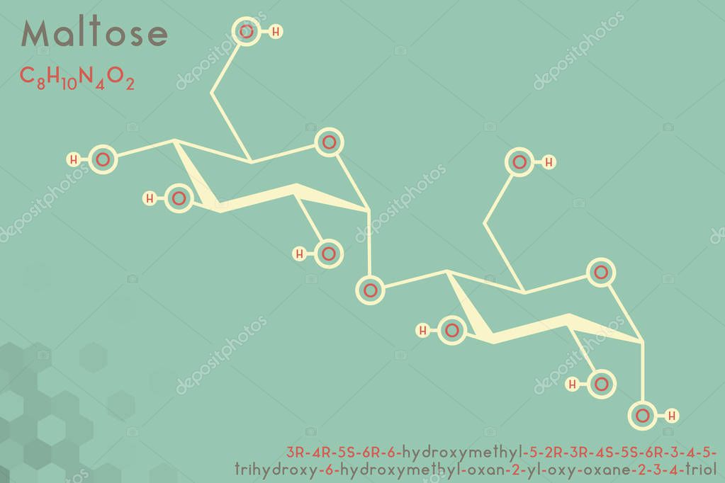 Infografía grande y detallada de la molécula de Maltosa. 2023
