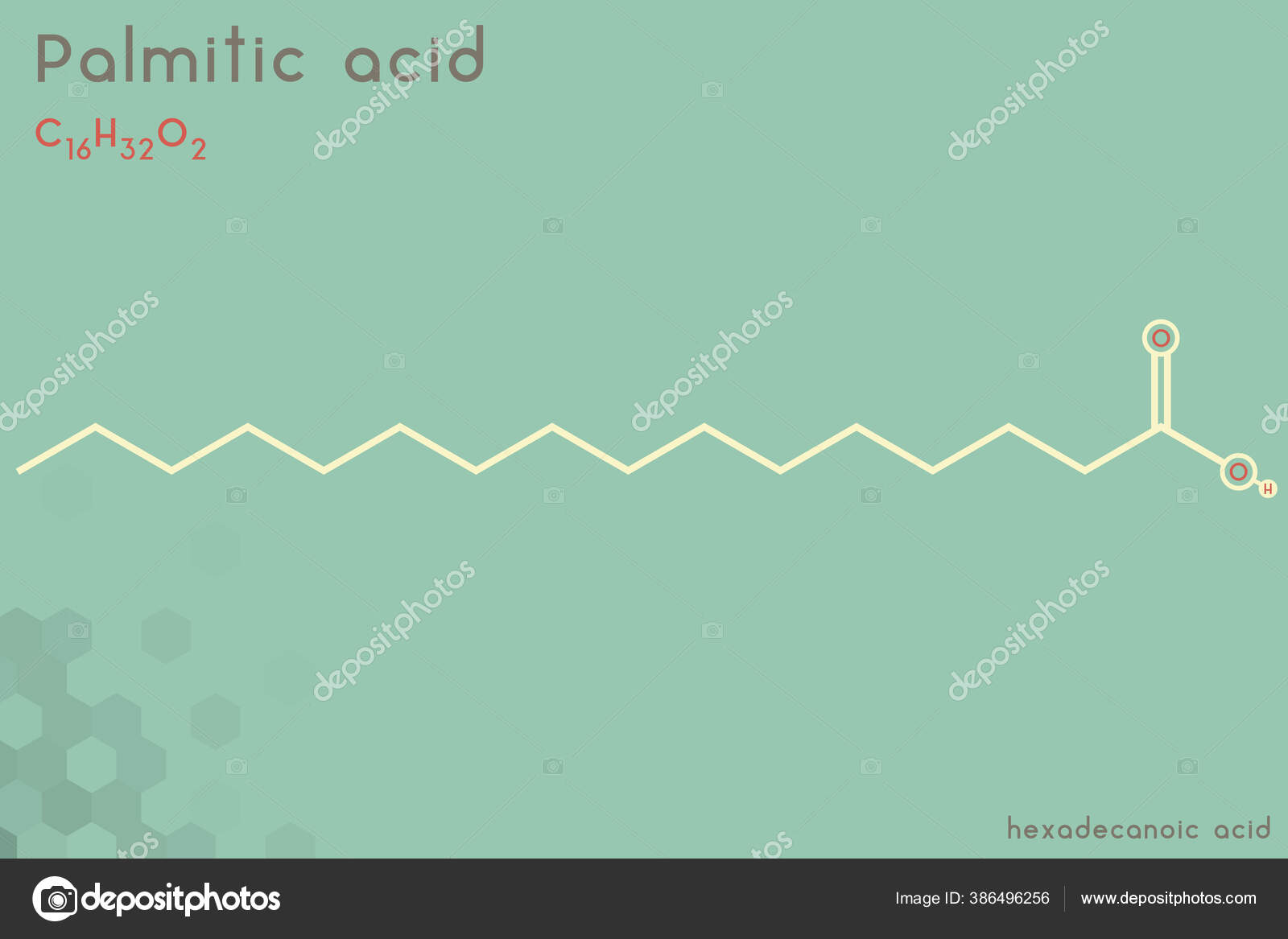 Große Und Detaillierte Infografik Des Moleküls Der Palmitinsäure Stock ...