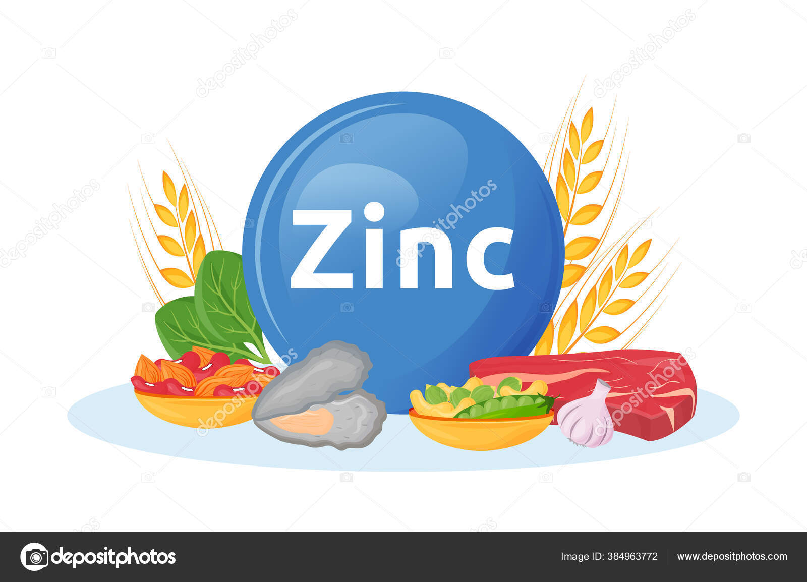Products Rich Zinc Cartoon Vector Illustration Minerals Seafood Beef ...