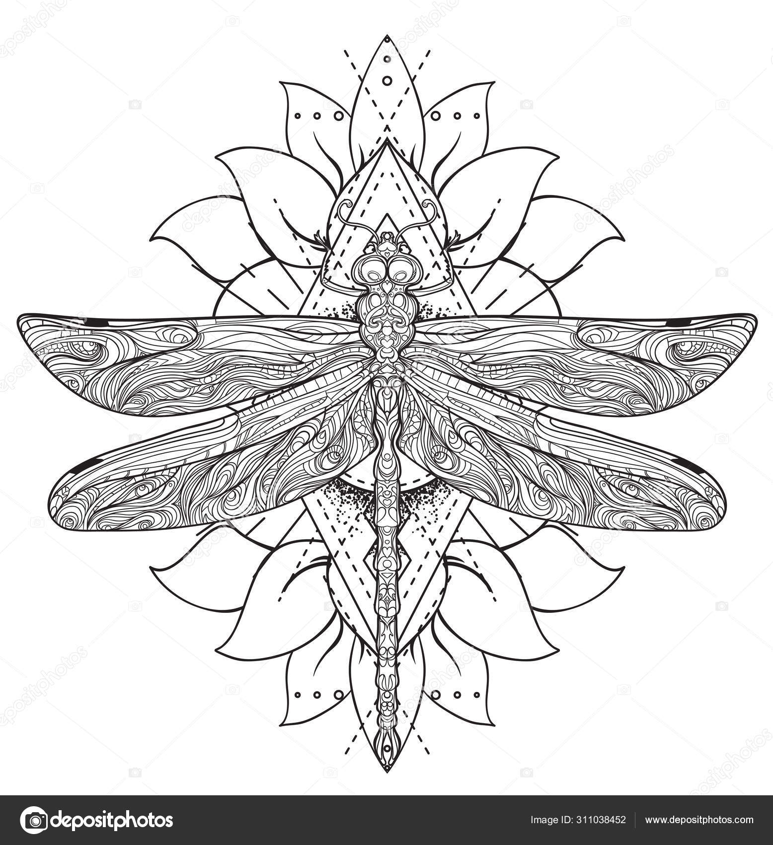 Dragonfly over sacred geometry sign, isolated vector illustratio ...