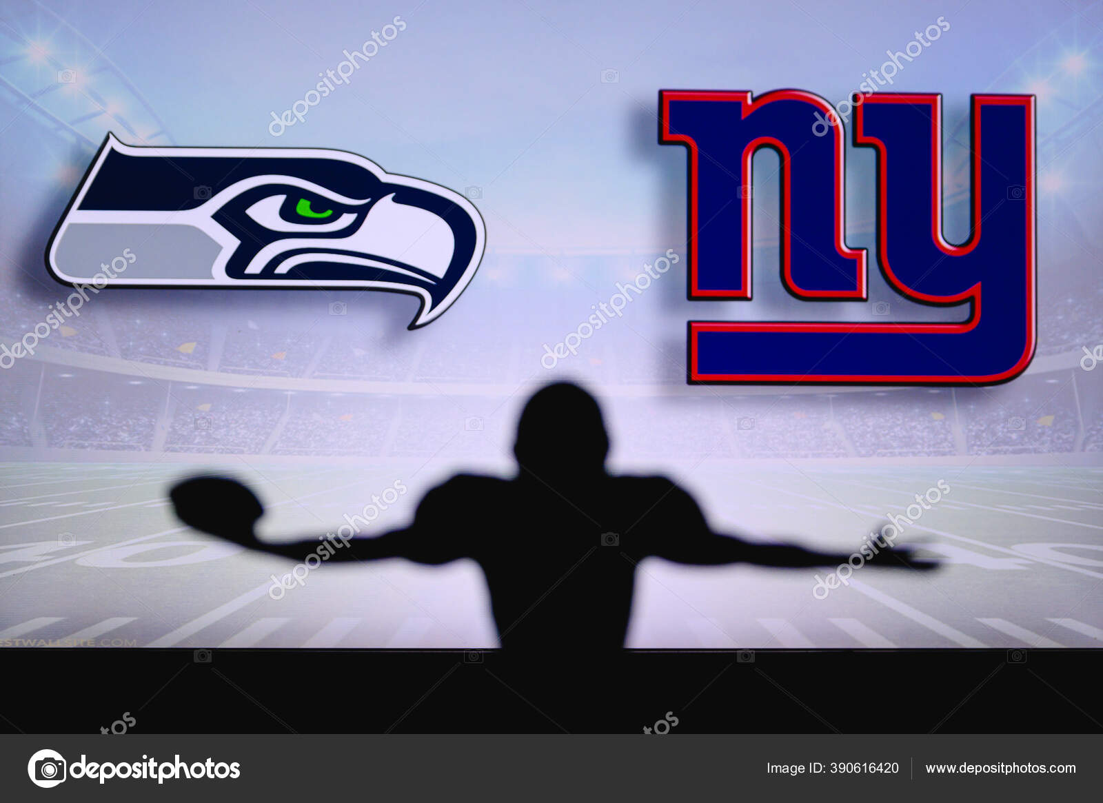 New Seahawks Logo