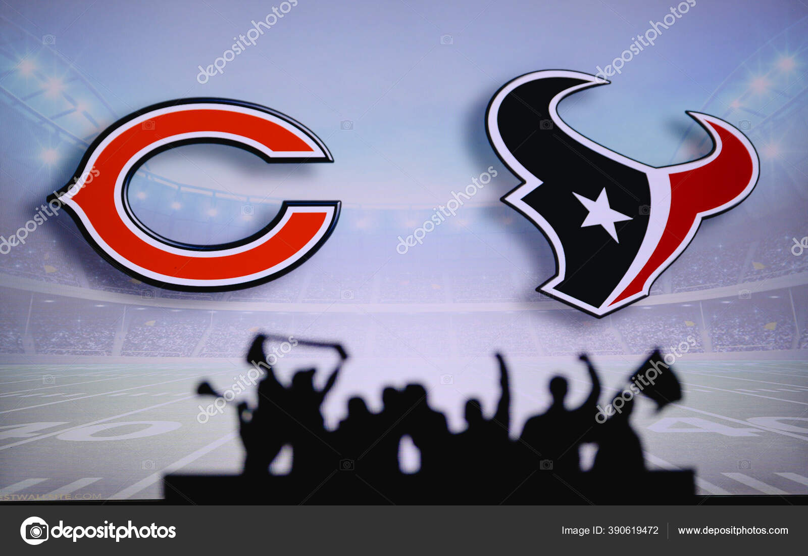 Chicago Bears Houston Texans Fans Support Nfl Game Silhouette ...