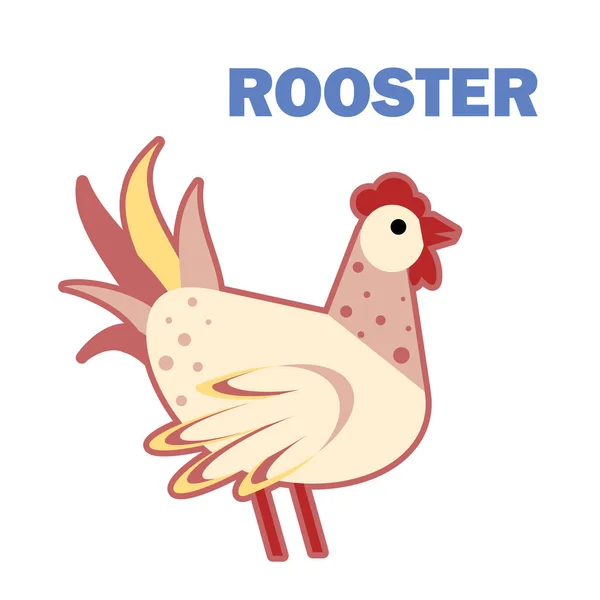Isolated Domestic Bird Chicken Simple Color Background Educational ...