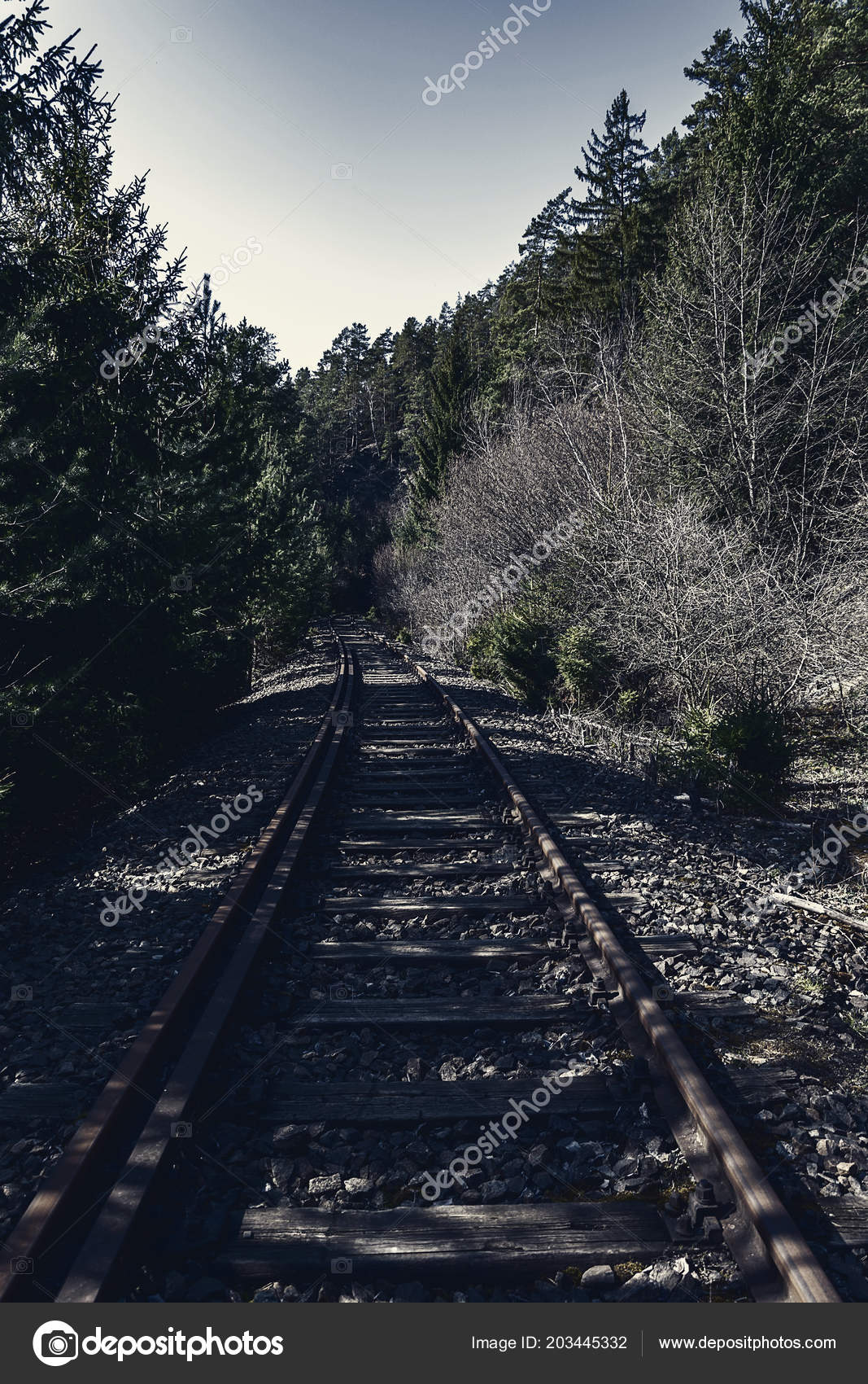 Railroad Track Dark Forest — Stock Photo © Funkenschlag #203445332