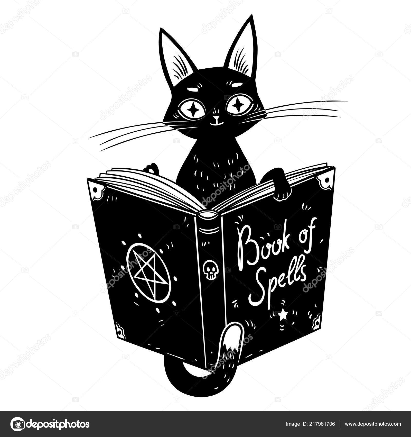 Black Cat Reading A Book