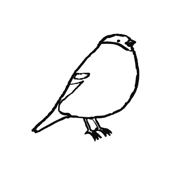 Stick Bird Drawings