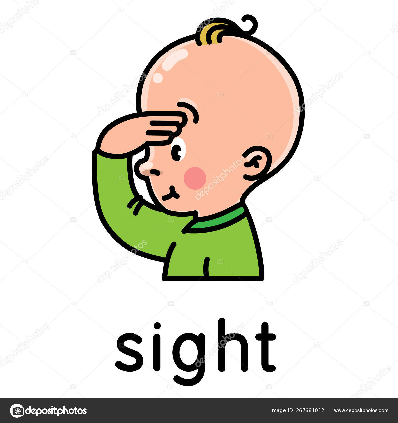 The Five Senses Sight