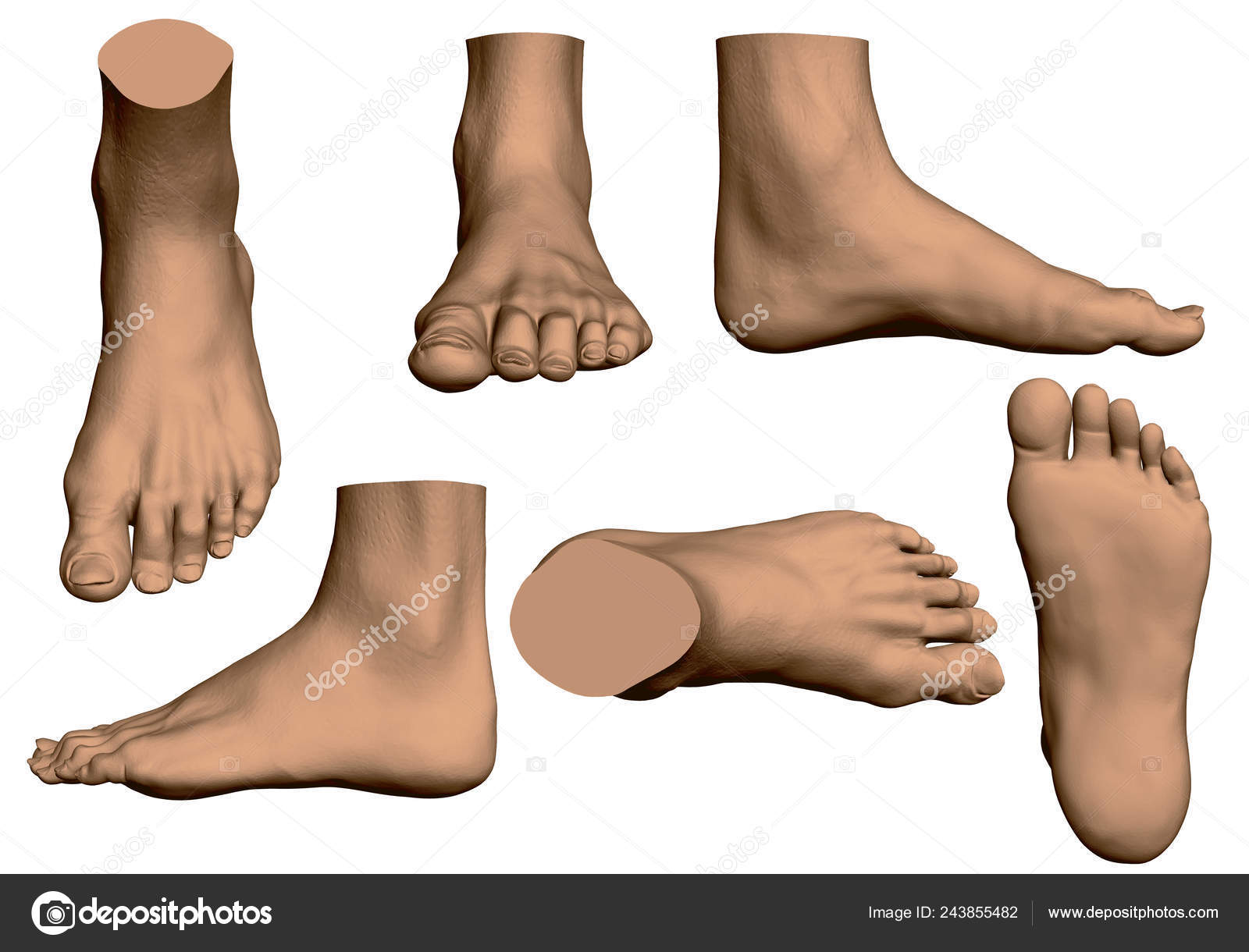 Conjunto Com Pernas Masculinas Homem Realista Pernas Diferentes ...