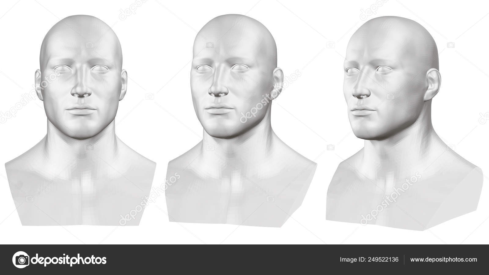 Vector set of isolated male busts of mannequins on white background. 3D ...