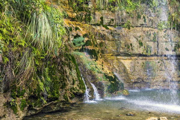 Oasis in desert. Ein Gedi nature reserve. David waterfall. Israel ...