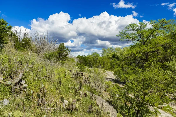 Texas landscape Stock Images - Search Stock Images on Everypixel