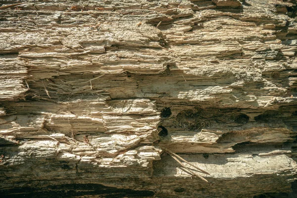 Core samples Stock Photos, Royalty Free Core samples Images | Depositphotos