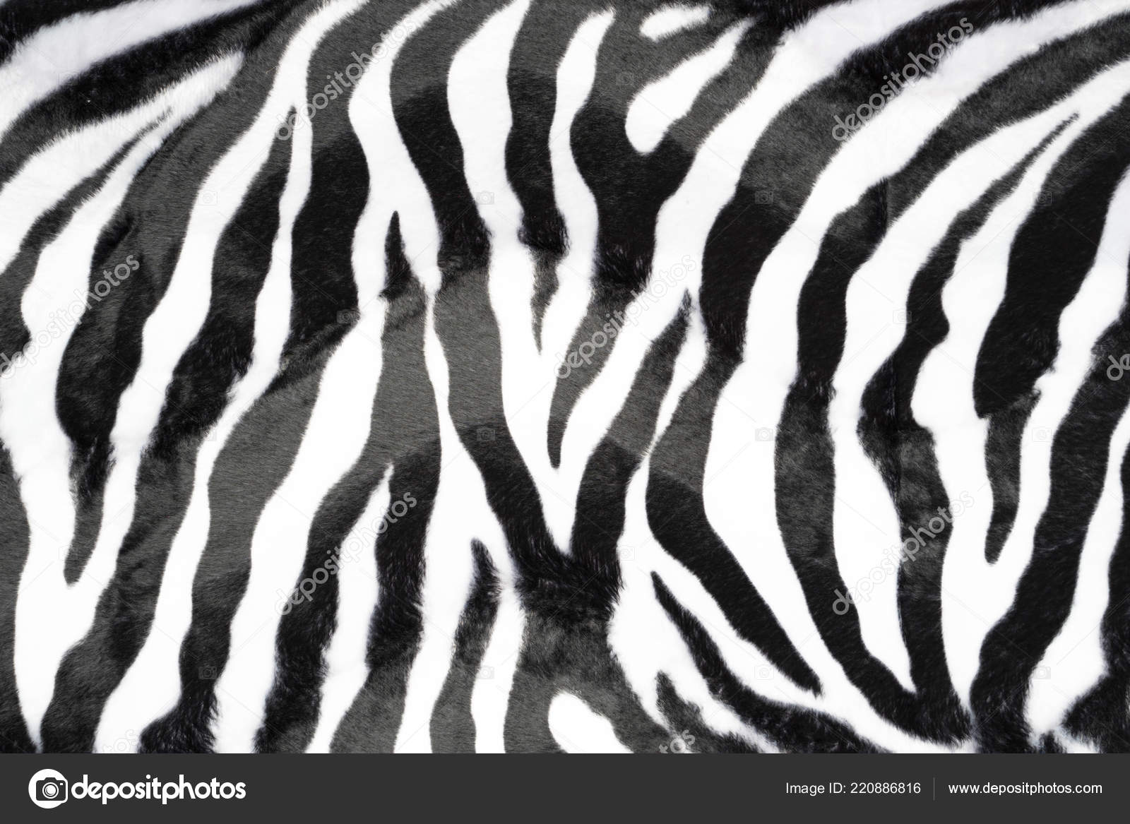 Zebra Skin Pattern