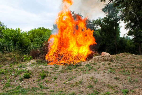 Clearing the territory burning brushwood of tree branches - Stock Image ...