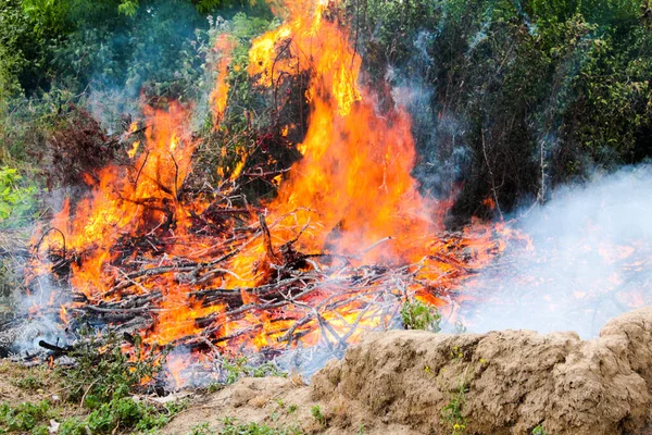 Fire clearing Images - Search Images on Everypixel