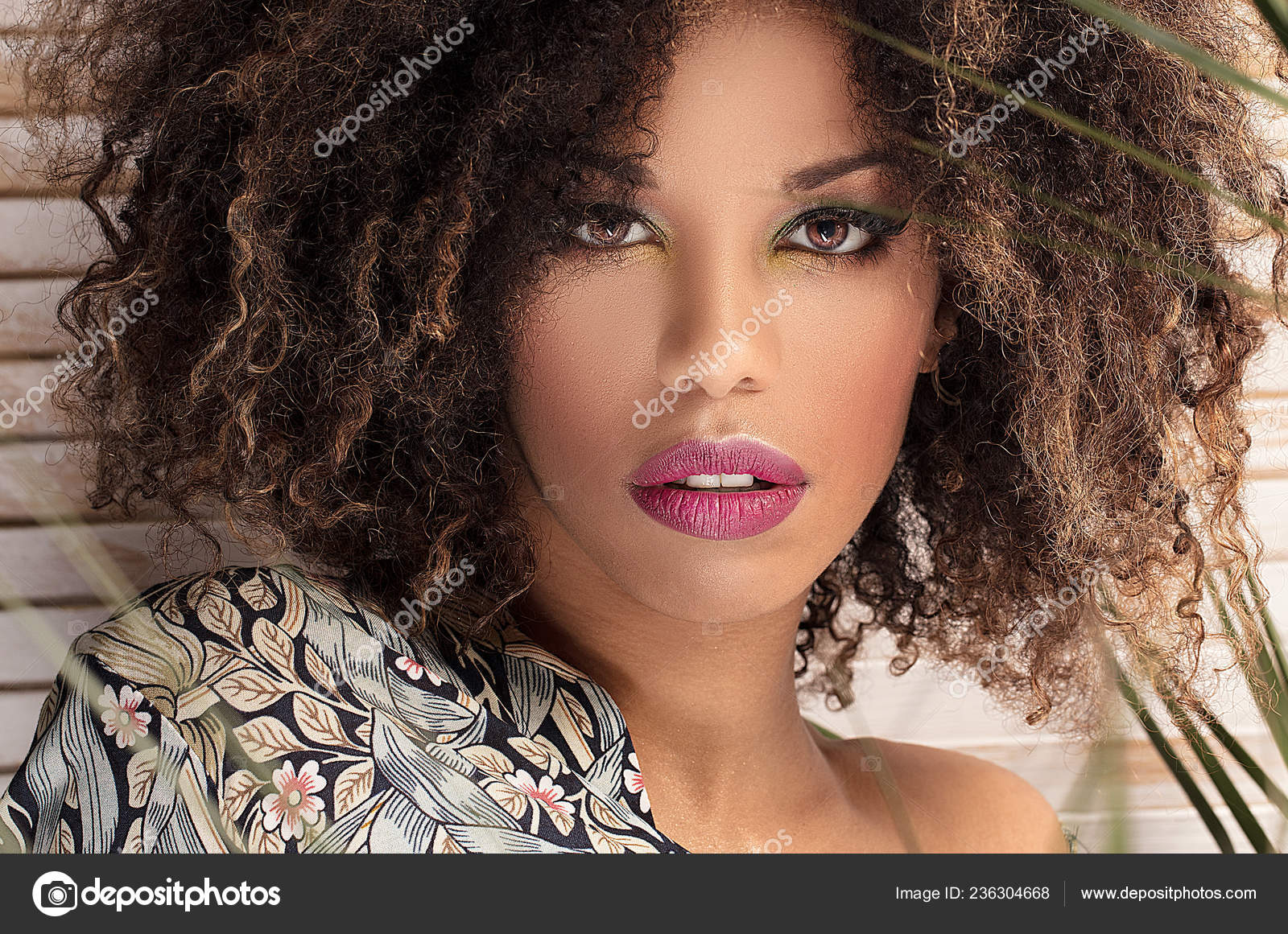 Beauty Portrait African American Woman Afro Hairstyle Glamour Makeup