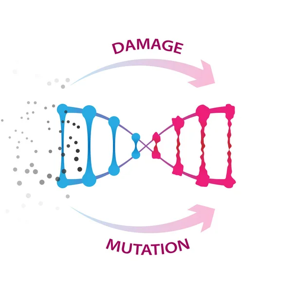 Dna damage Vector Art Stock Images | Depositphotos
