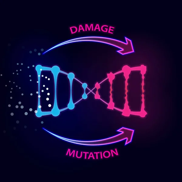 External factors Vector Art Stock Images | Depositphotos