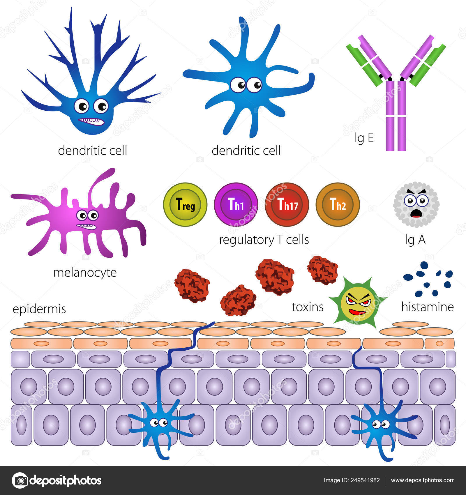 Dendritic Cell Cartoon