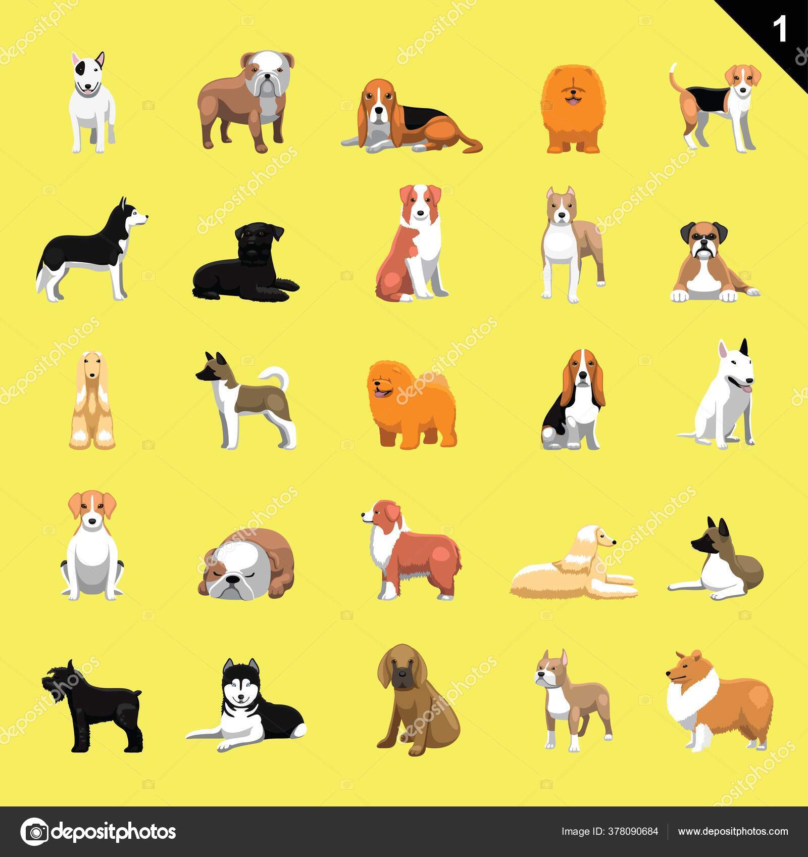 Varias Razas Perros Vector Illustration Set Vector de stock #378090684 ...