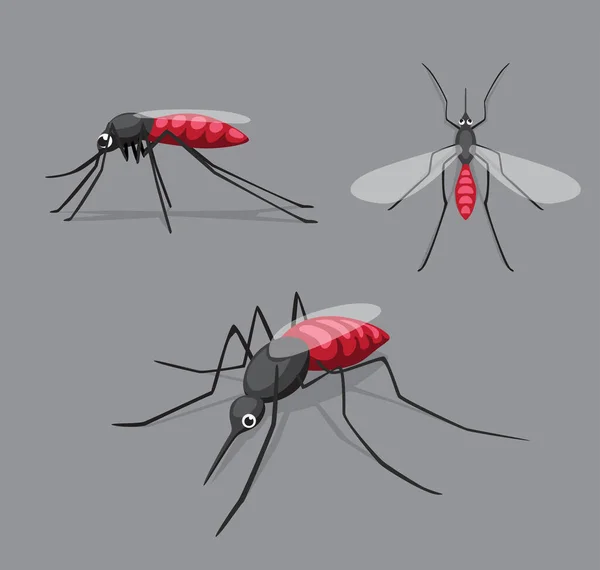 100,000 Mosquito anopheles Vector Images | Depositphotos