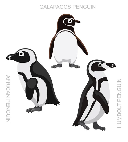 Galapagos Penguin Clipart For Kids