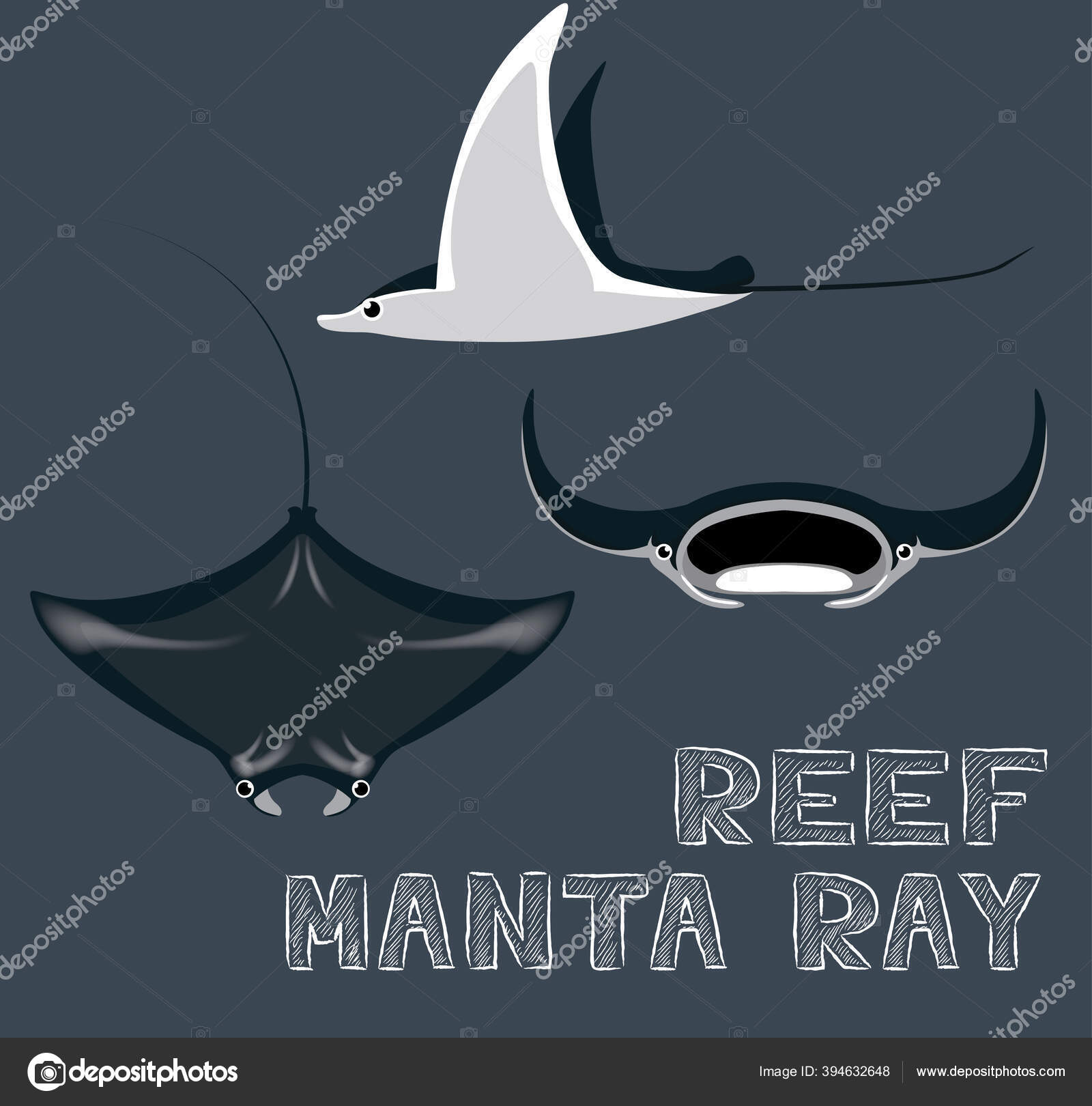 Cute Reef Manta Ray Cartoon Vector Illustration Stock Vector by ...