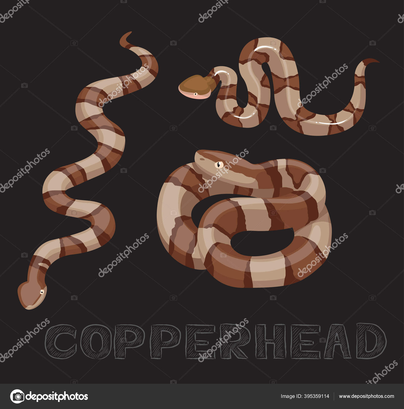 Snake Copperhead Cartoon Vector Illustration Stock Vector by ©Punnawich ...