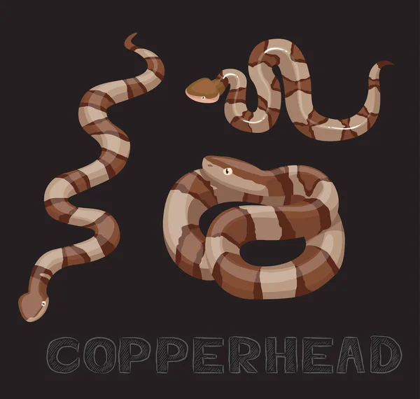 Copperhead Vector Art Stock Images | Depositphotos