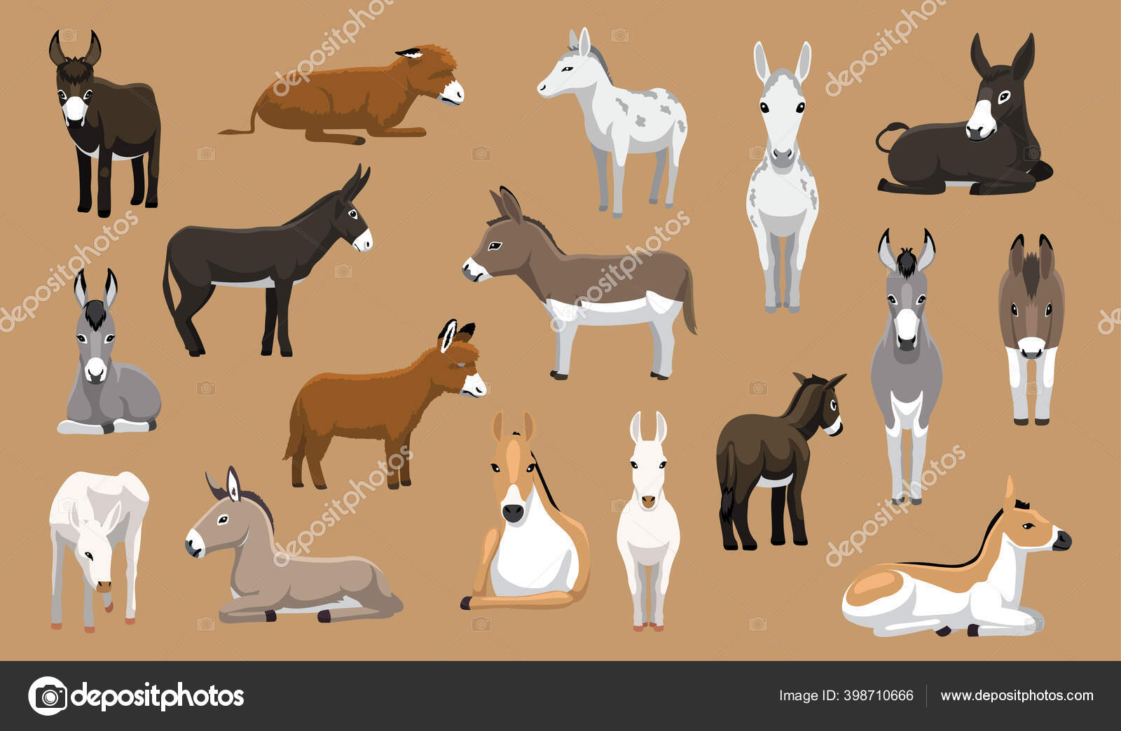 Berbagai Karakter Kartun Breeds Keledai Vektor Vektor Stok oleh ...