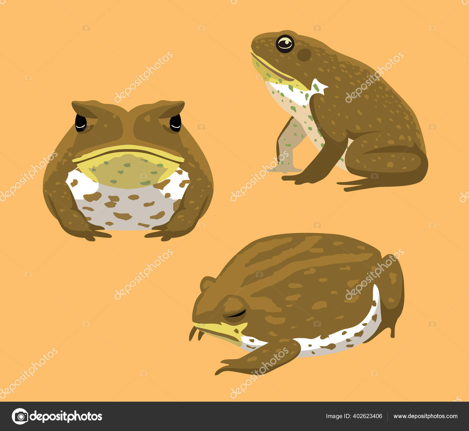 Inggris Australian Animal Cane Toad Cartoon Vector Illustration Vektor ...