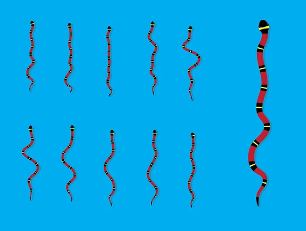 Milk Snake Animation Sequence Cartoon Character Vector Seamless ...