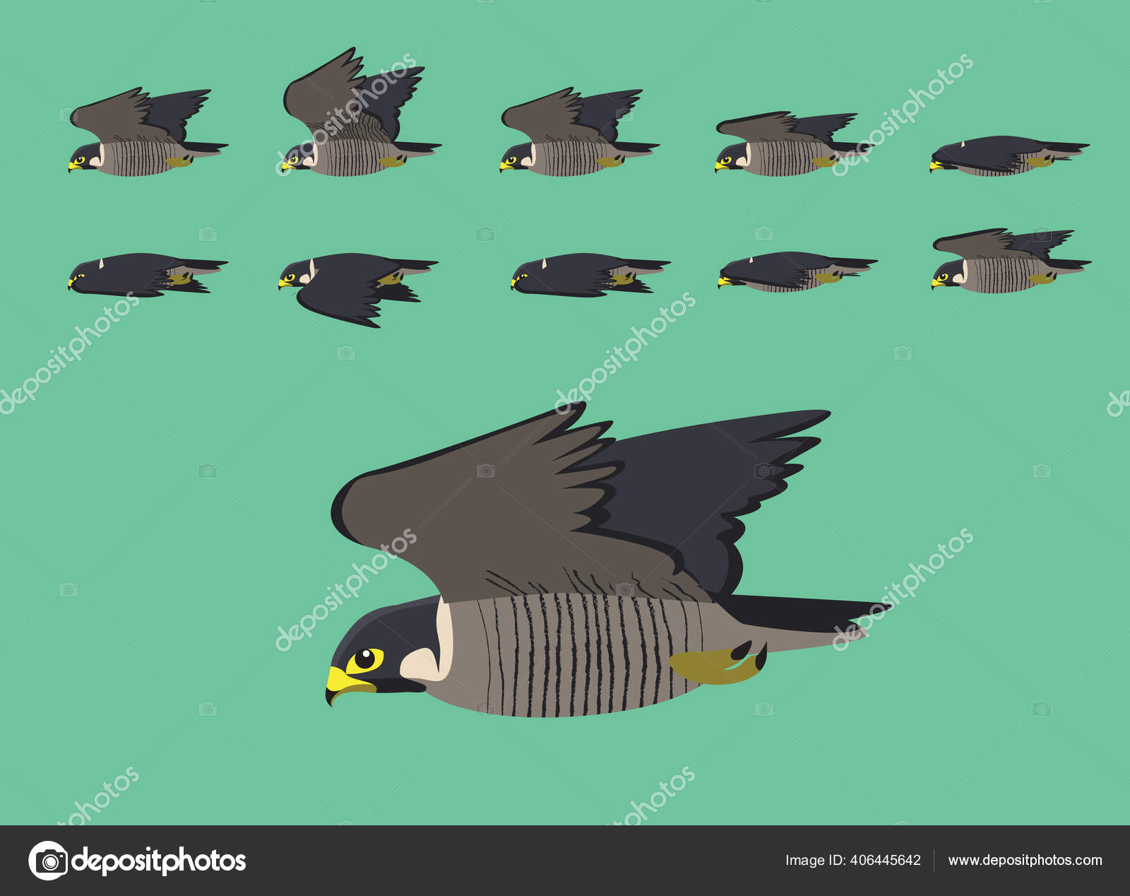 Cartoon Bird Flying Animation