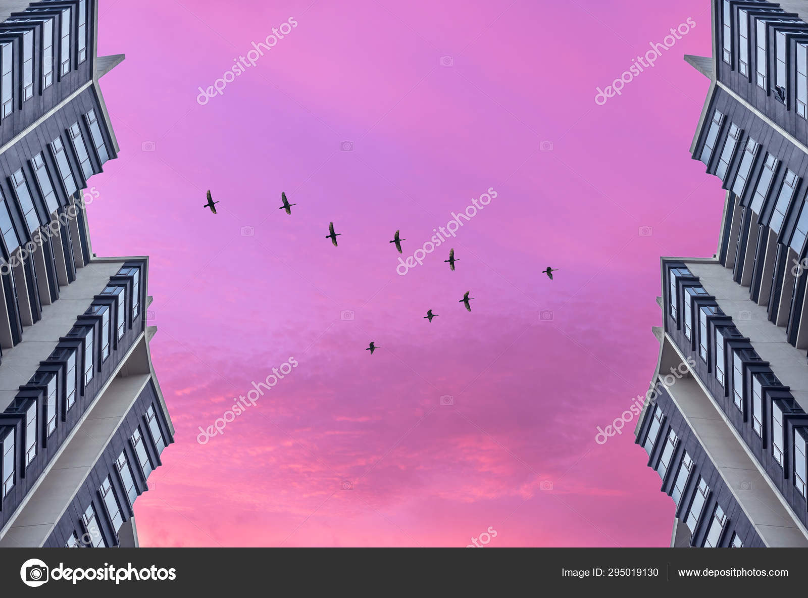 Birds Flying Shape Bridge Two Buildings Stock Photo by ©flowertiare ...