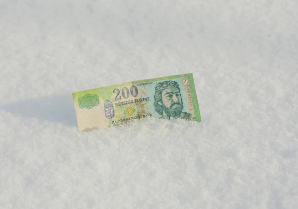 Dollar Snow Two Dollar Bills Financial Concept Stock Photo by ©ad-foto ...