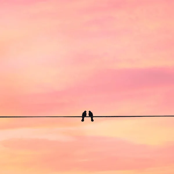 Two Birds On Wire