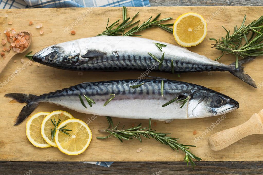 Bonito atlántico Sarda sarda o Palamida que es un pez grande parecido a ...