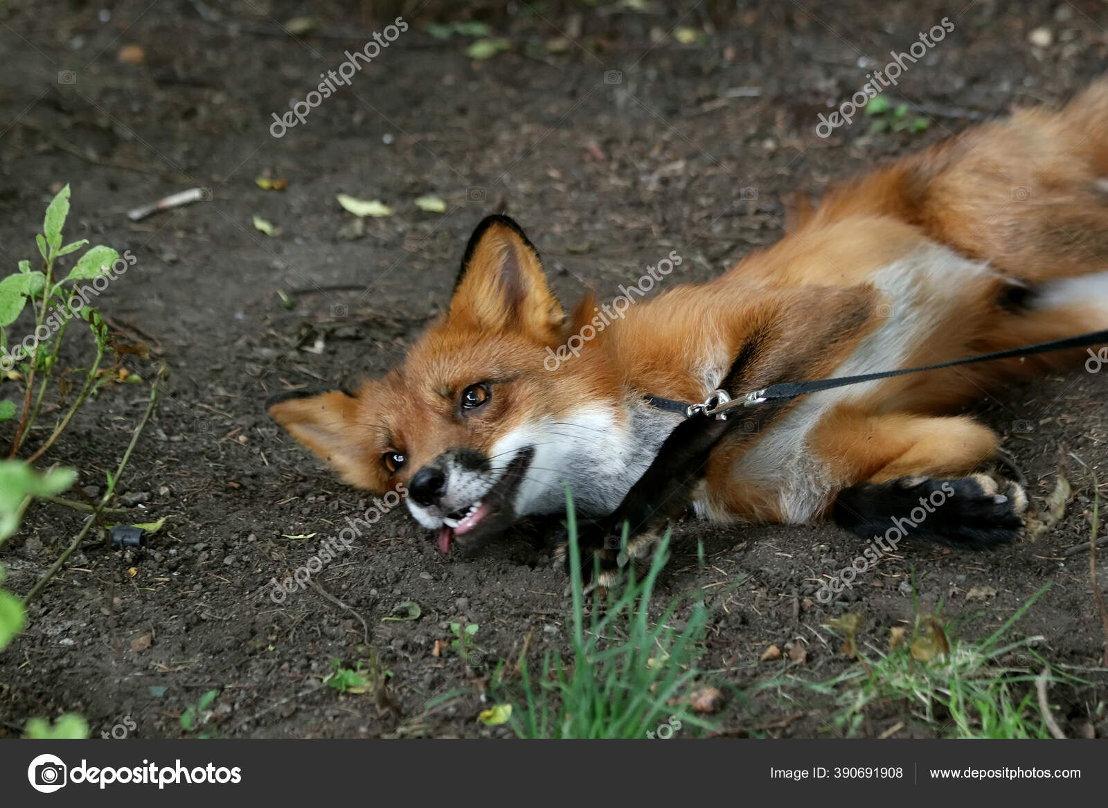 Suburban Parks Many Interesting Places Quarries Reservoirs Mountain ...