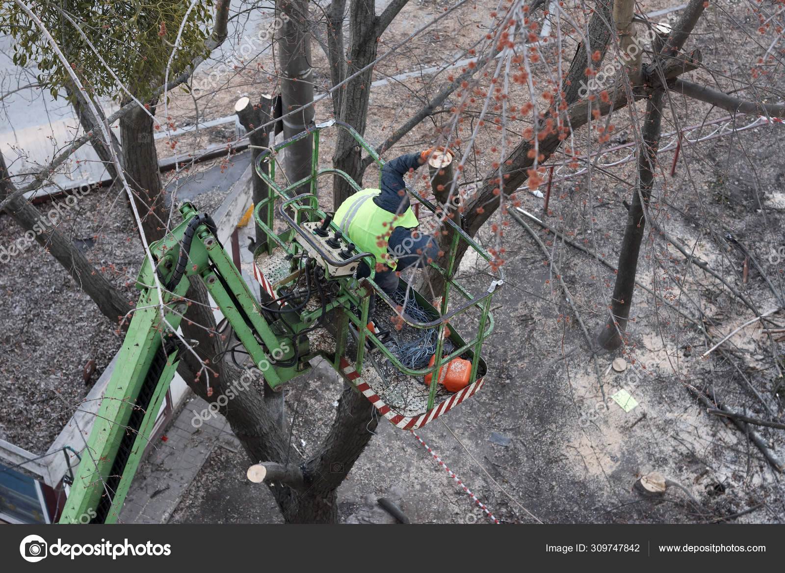 Man Lifting A Twig