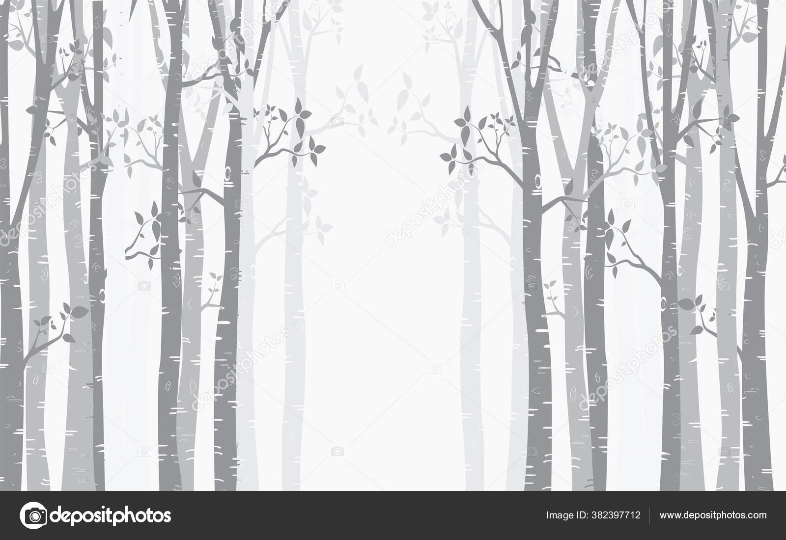 Birch Tree Forest Vector