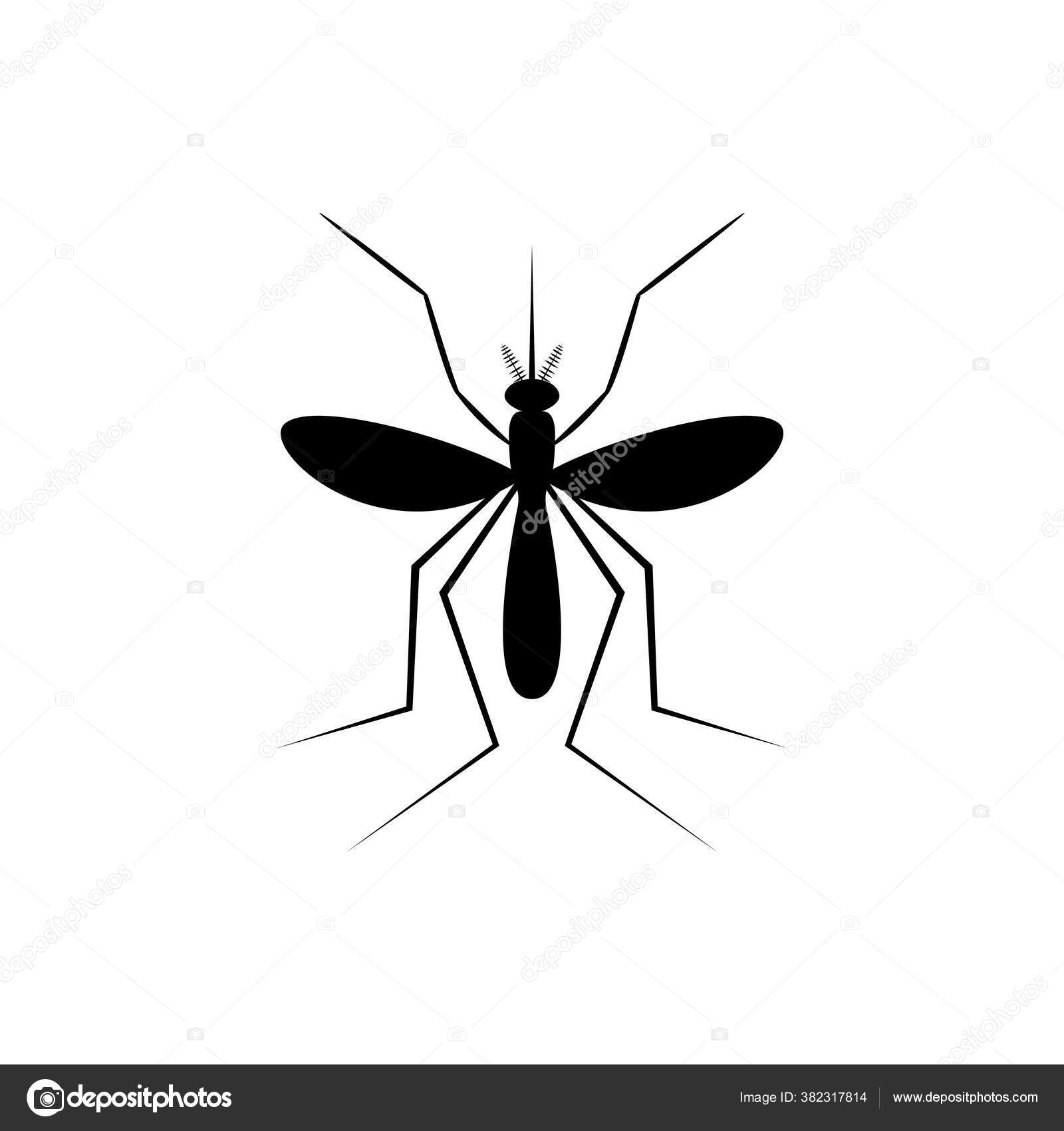 Mosquito Silhouette