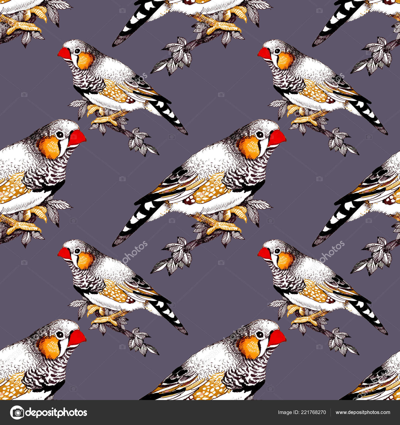 Bright Colorful Birds Background — Stock Photo © Kostan-PROFF #221768270